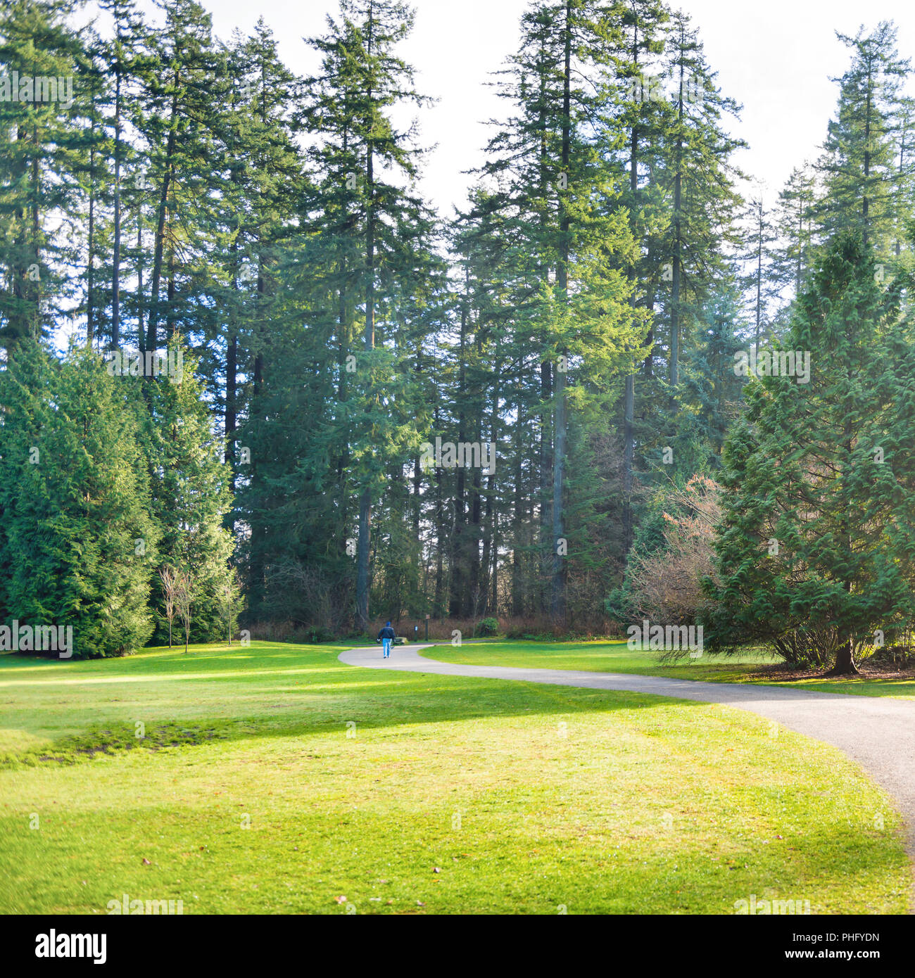 Path in the green sunny park Stock Photo - Alamy