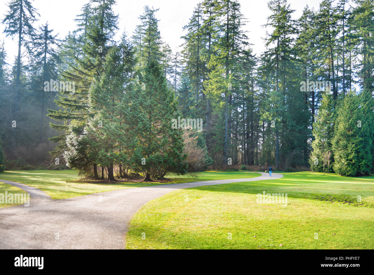 Path in the green sunny park Stock Photo - Alamy