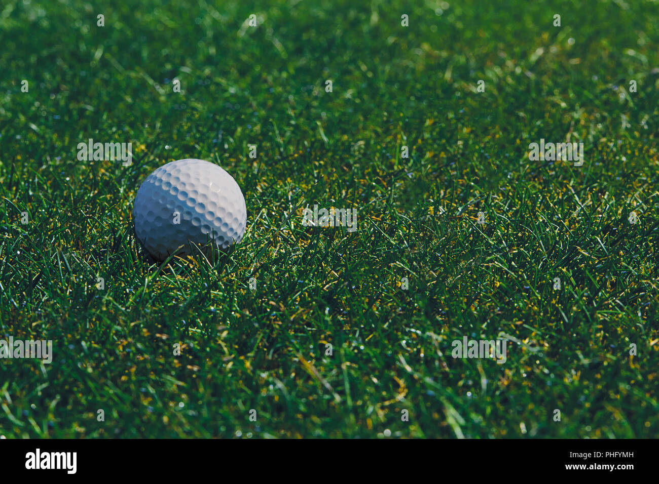 Golf ball on the grass Stock Photo - Alamy