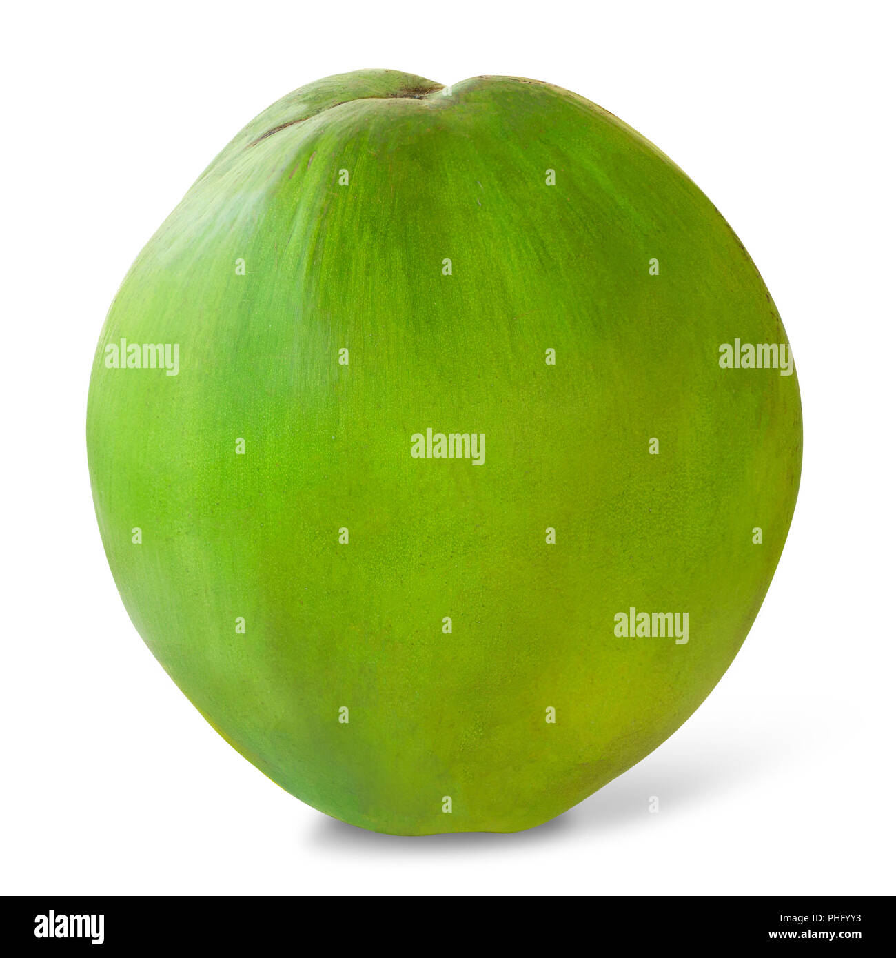Fresh round coconut on white background Stock Photo - Alamy
