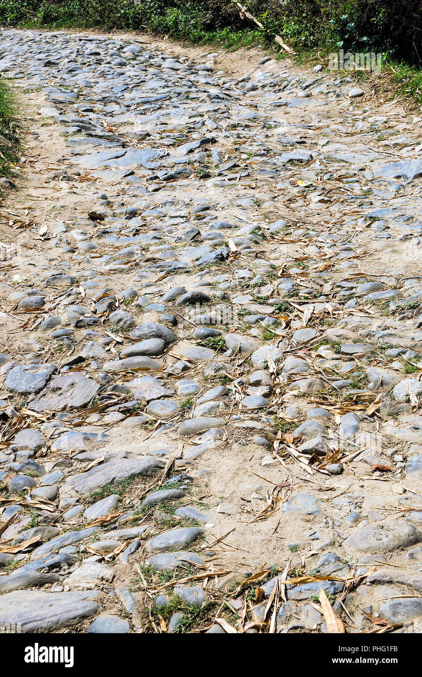 Tokyo stone path trail hi-res stock photography and images - Alamy