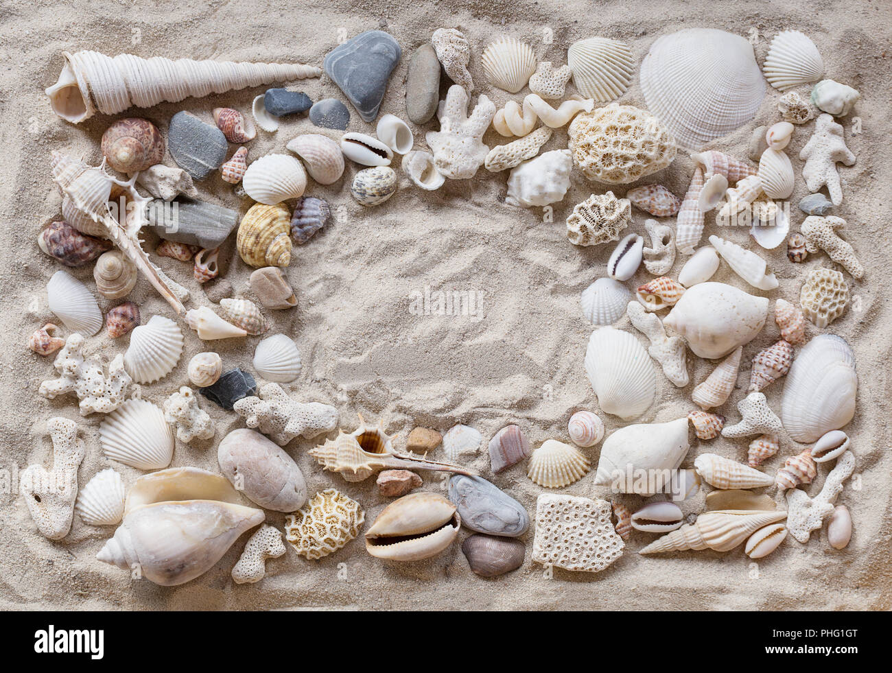 The frame of the small shells on the sea sand Stock Photo - Alamy
