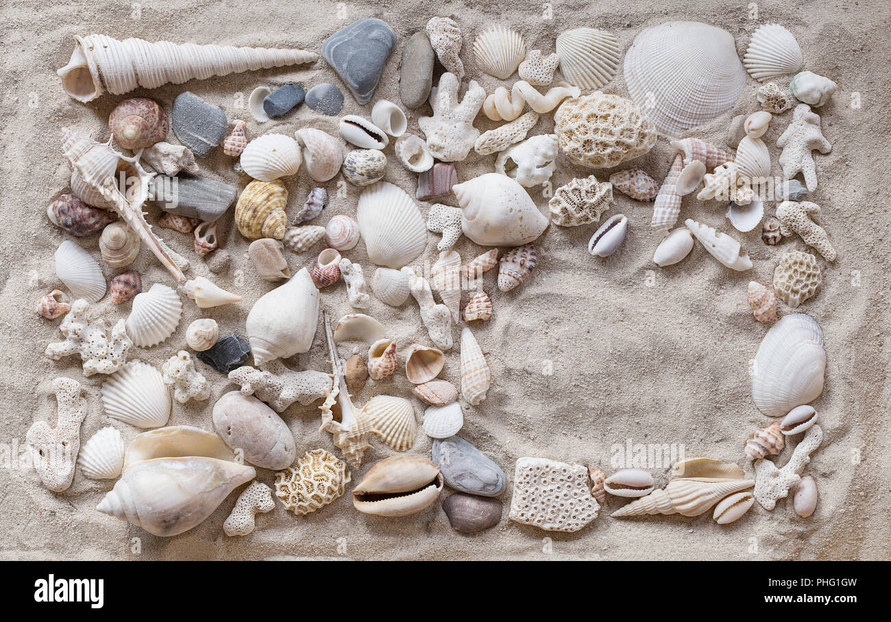 The frame of the small shells on the sea sand Stock Photo - Alamy