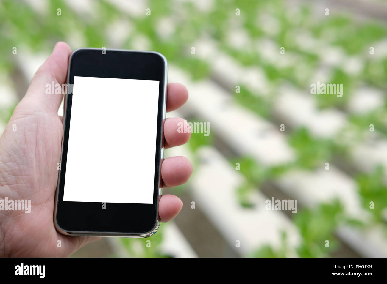 agronomist farmer using smart phone to monitor ec, pH, temperature of ...