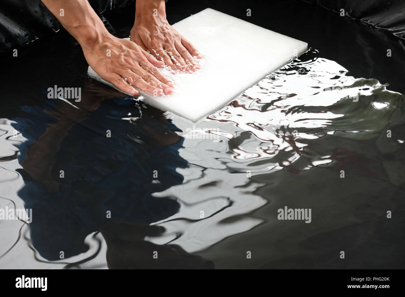 hand soaking sponge in water for growing hydroponic vegetable in farm ...