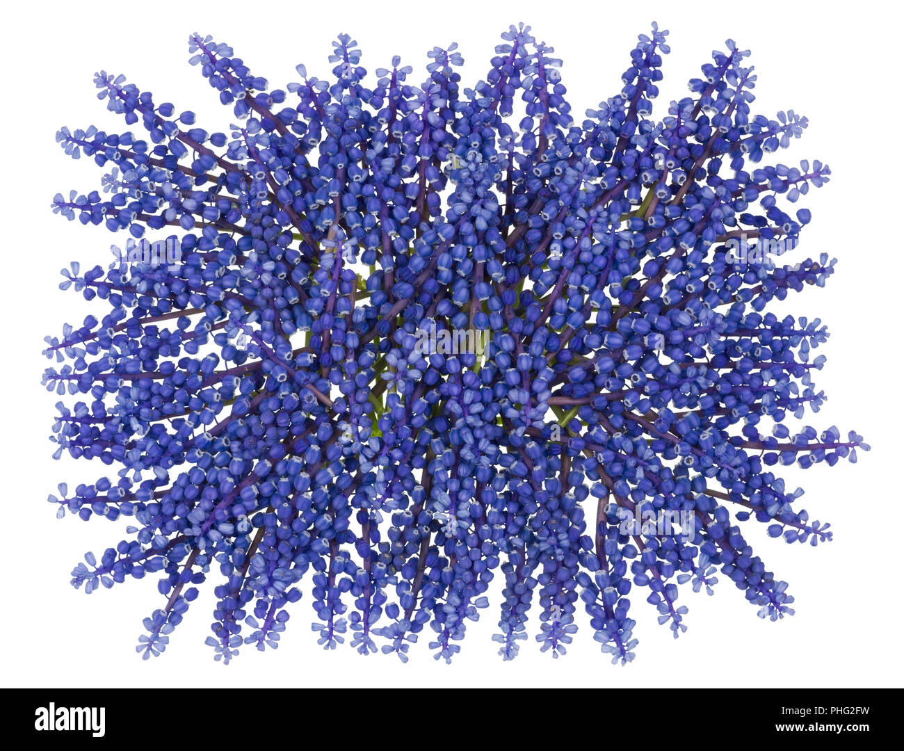 Blue square pattern Cut Out Stock Images & Pictures - Alamy