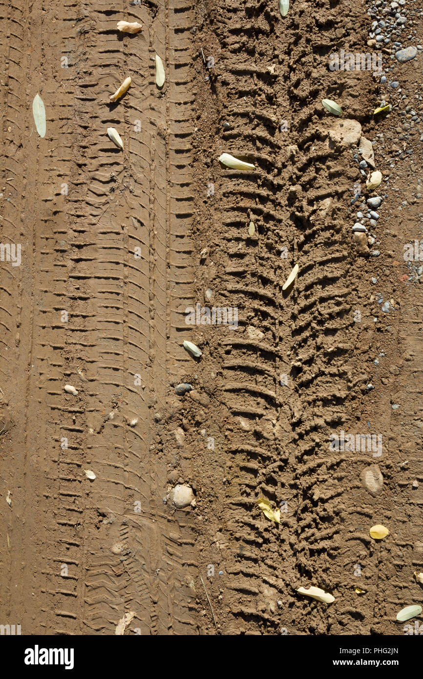 Road track texture hi-res stock photography and images - Alamy