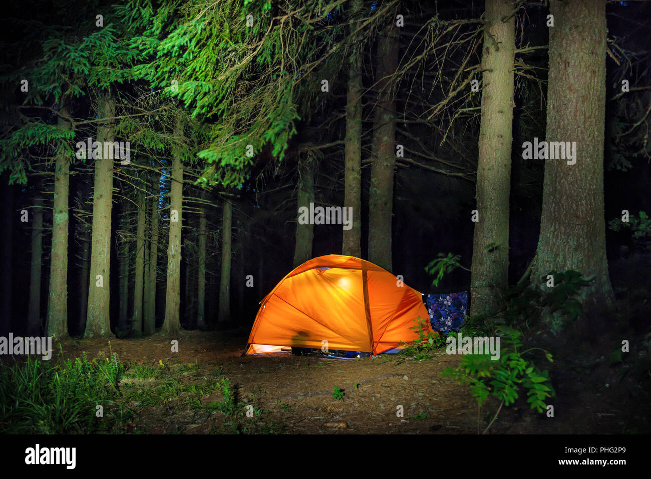 Sleeping in the forest hi-res stock photography and images - Alamy