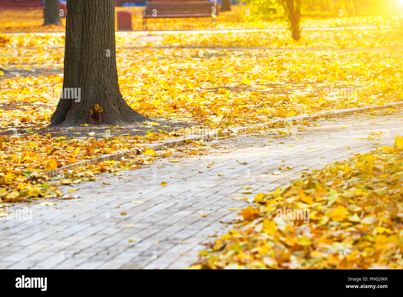 City park path hi-res stock photography and images - Alamy