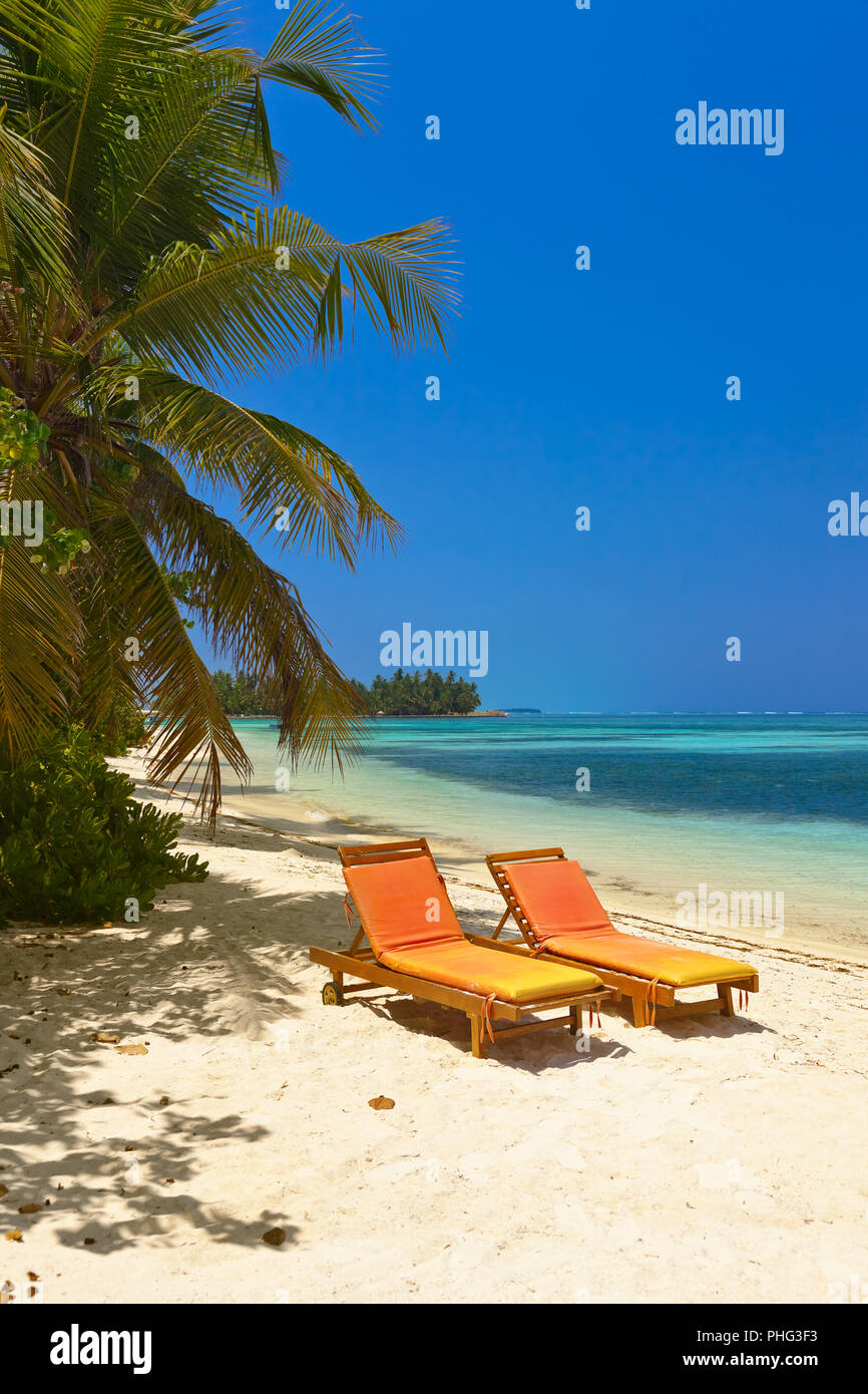 Sunbed on Maldives beach Stock Photo - Alamy