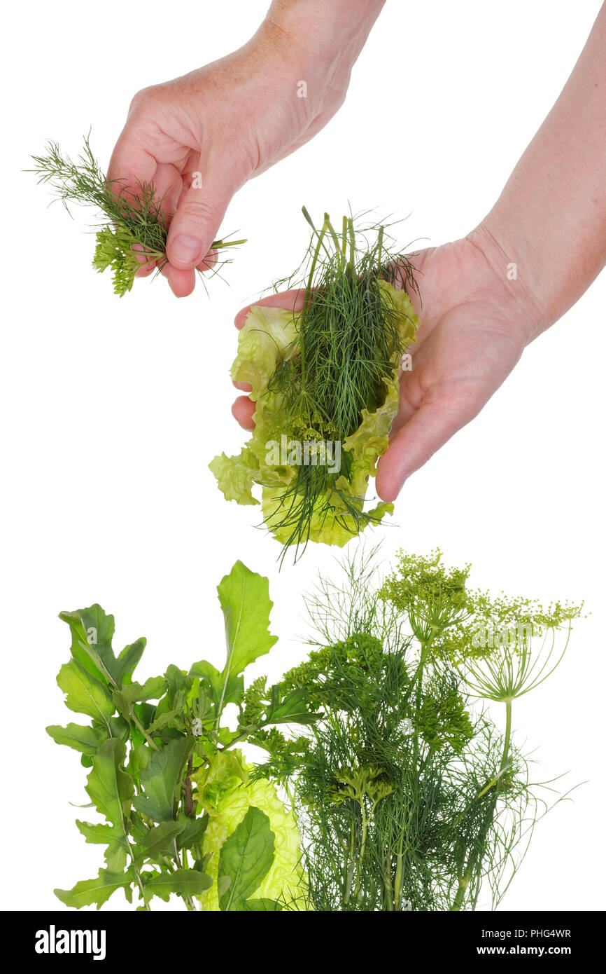 Crop of green vegetable herbs Stock Photo - Alamy