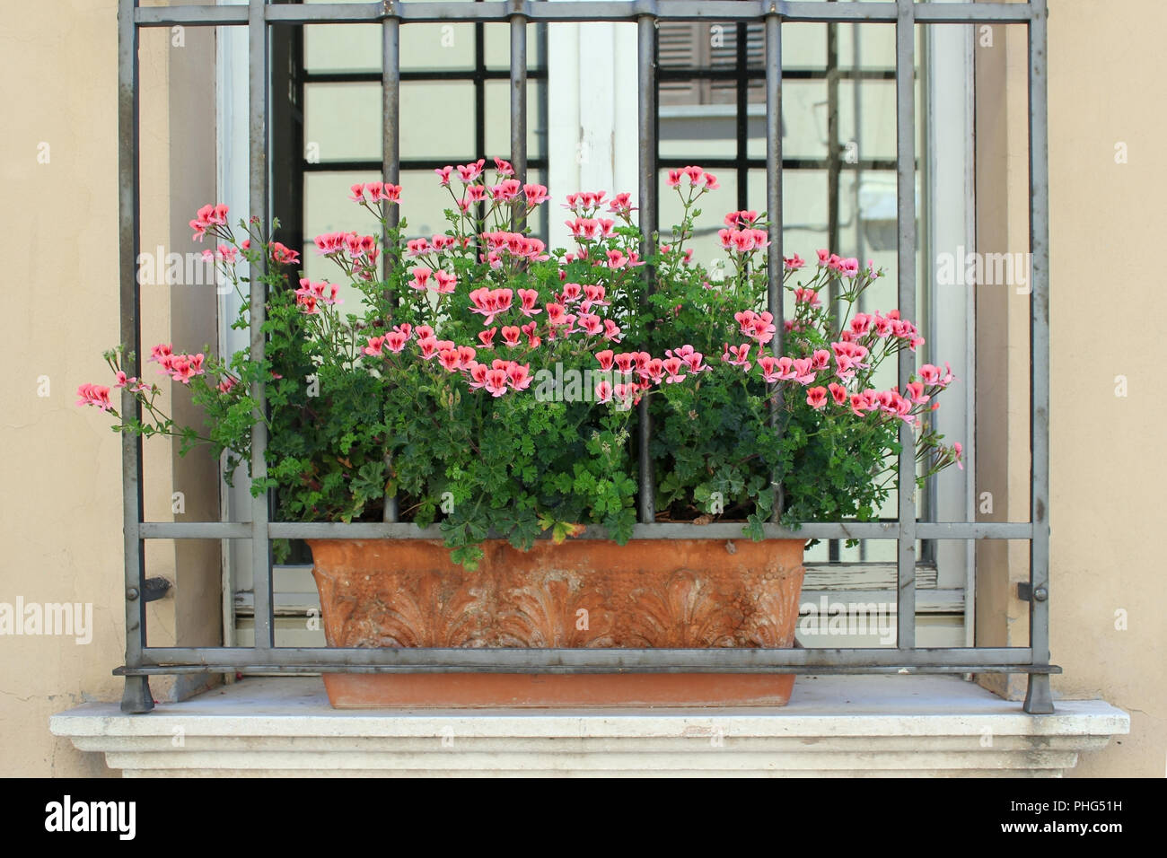 Italian container garden hi-res stock photography and images - Alamy