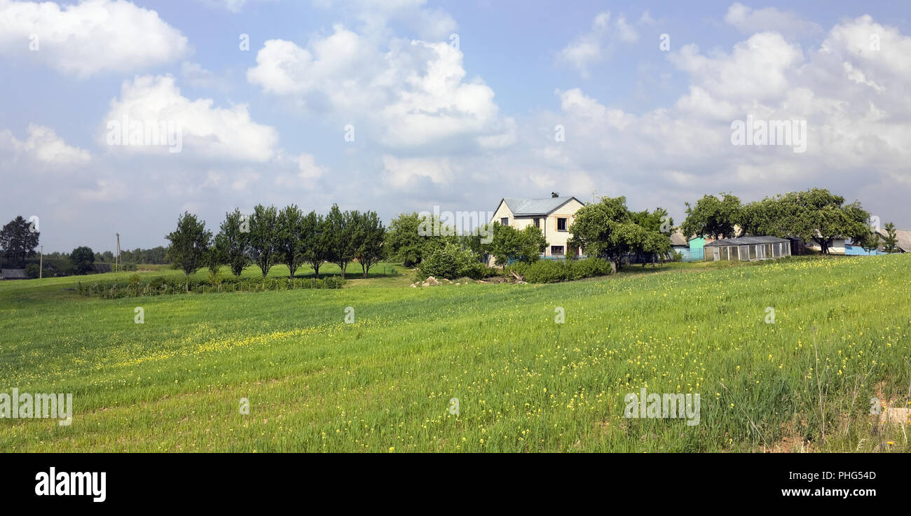 Beautiful summer fields forest hi-res stock photography and images - Alamy