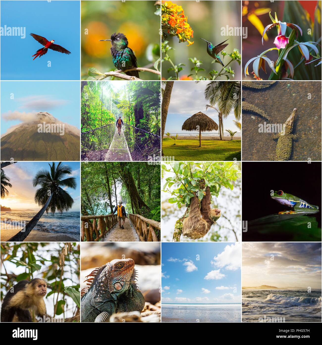 Costa Rica collage Stock Photo - Alamy