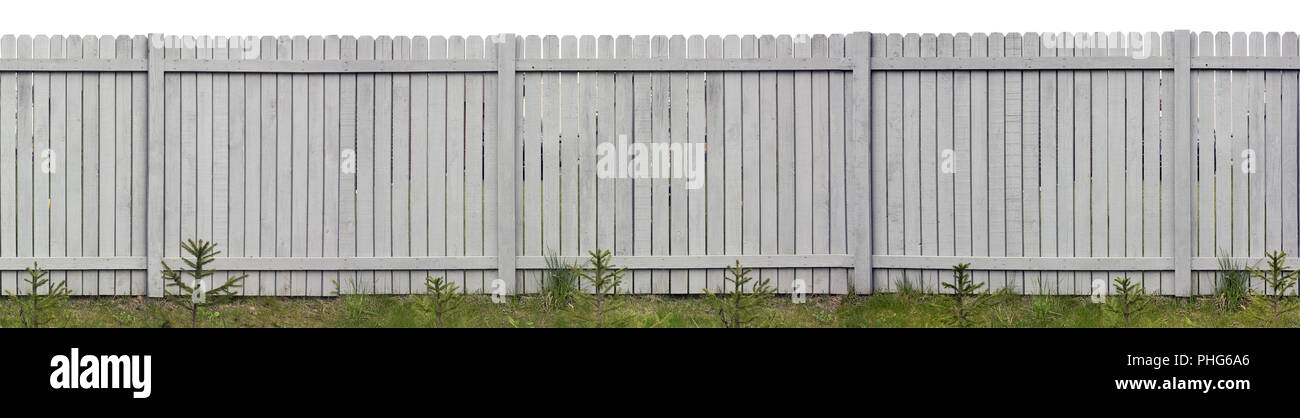Young fir trees and gray fence Stock Photo - Alamy