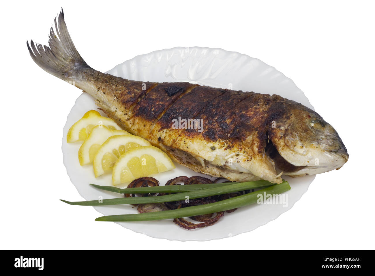 Grouper tail hi-res stock photography and images - Alamy