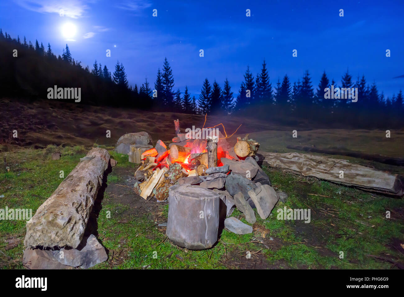 Campfire in the night forest Stock Photo - Alamy