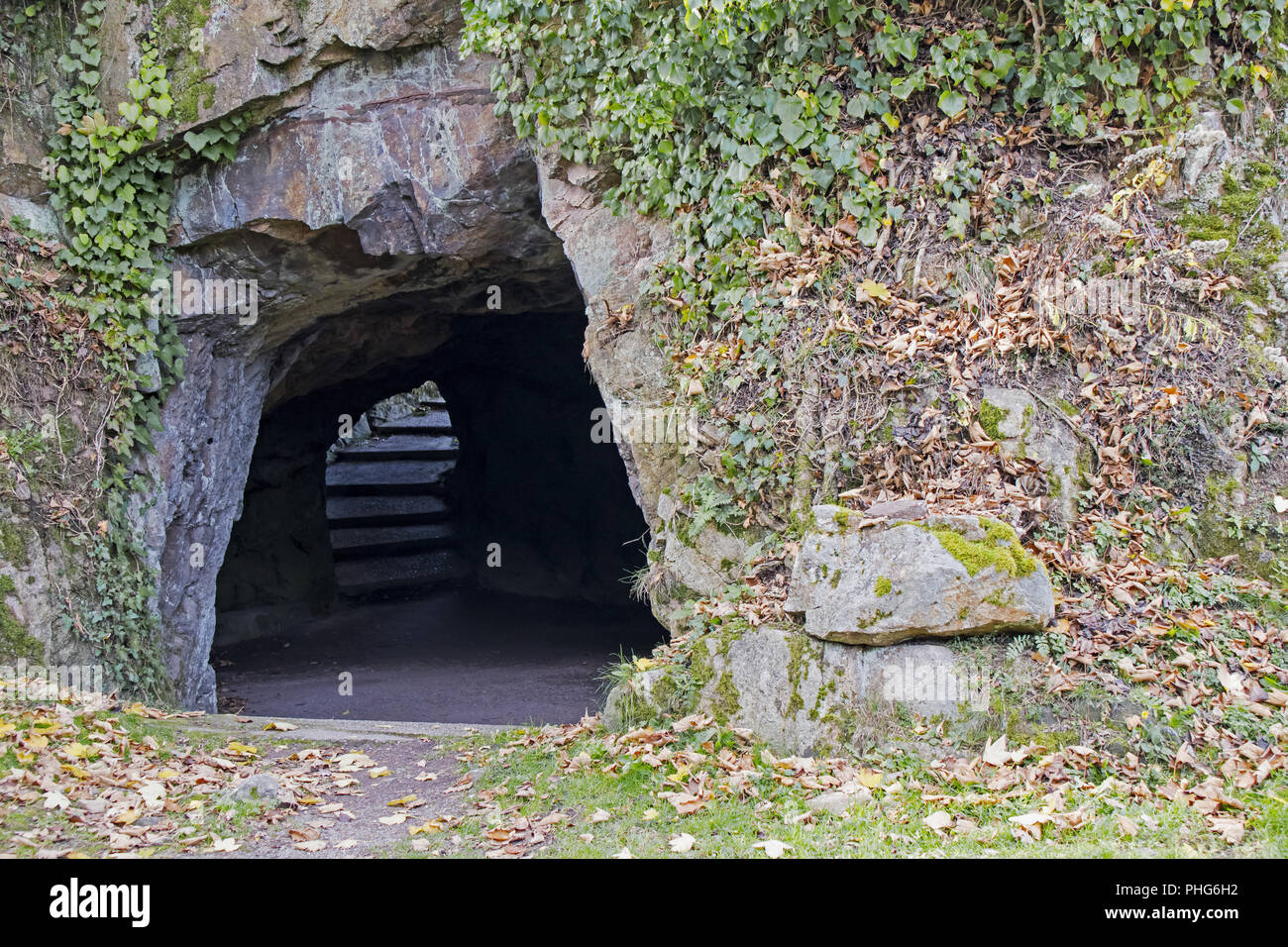 Forest cave hi-res stock photography and images - Alamy