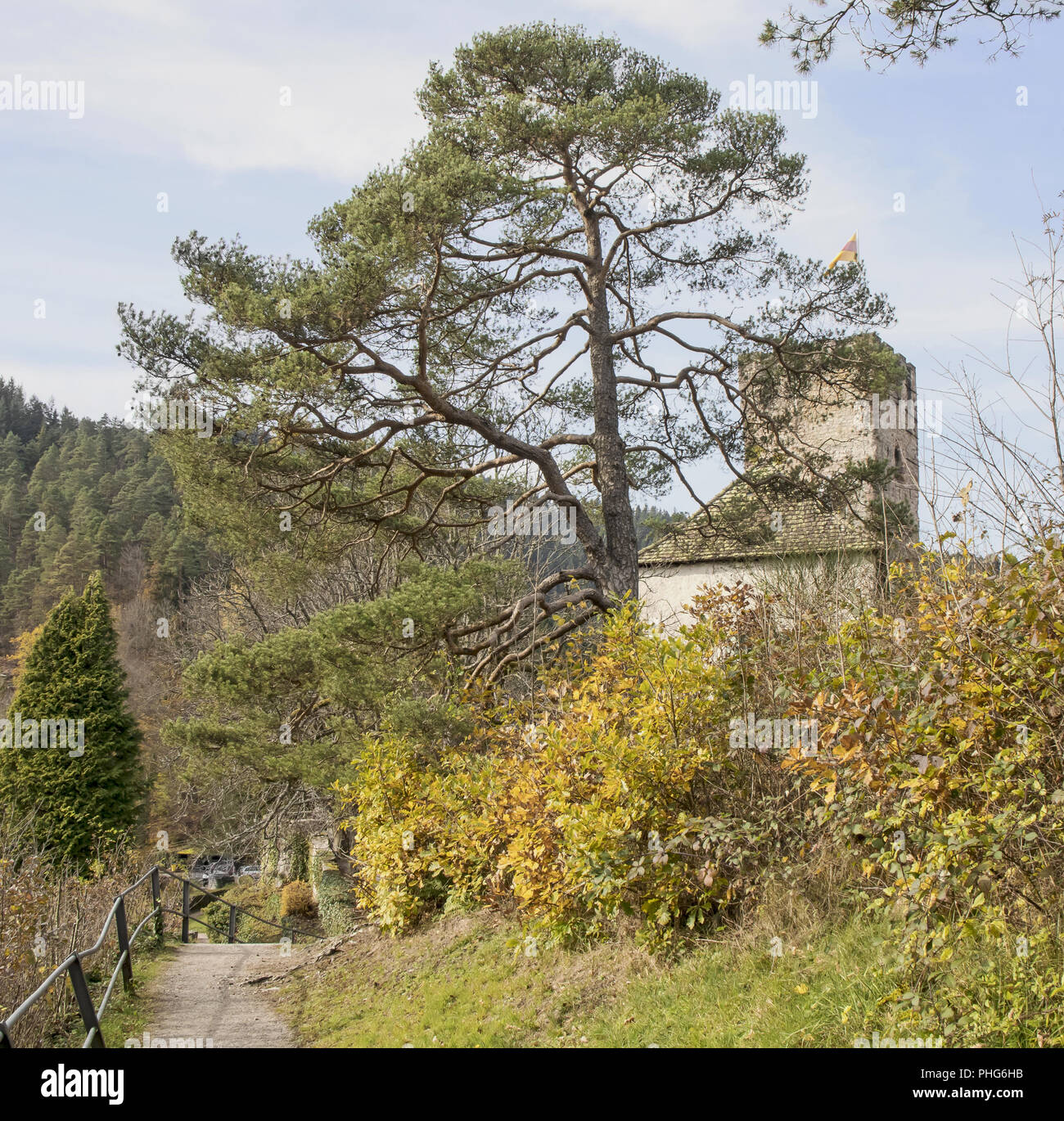 Castle tower and gunpowder tower, Hornberg Black Forest Stock Photo - Alamy