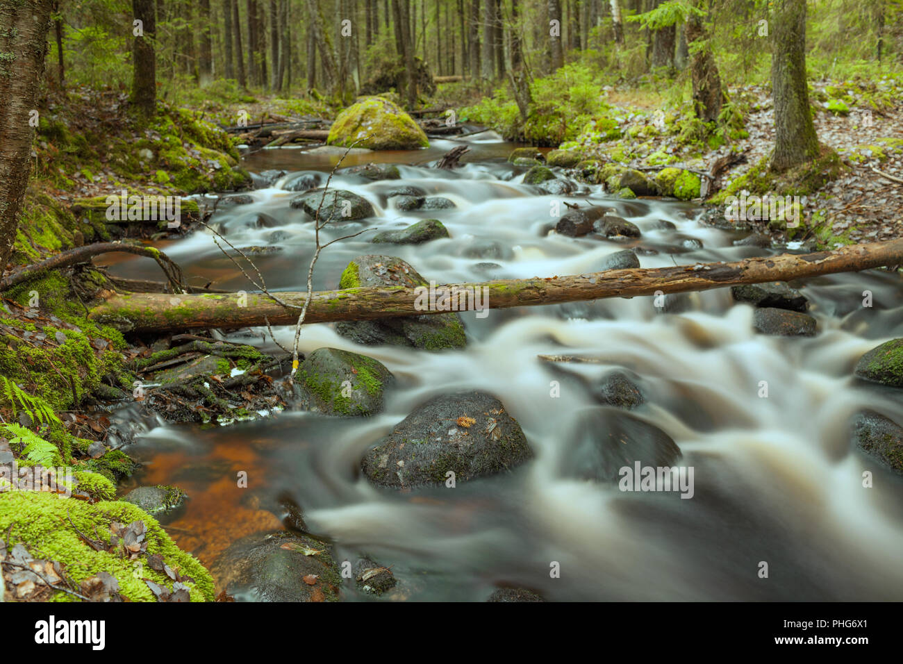 Roll on summer hi-res stock photography and images - Alamy