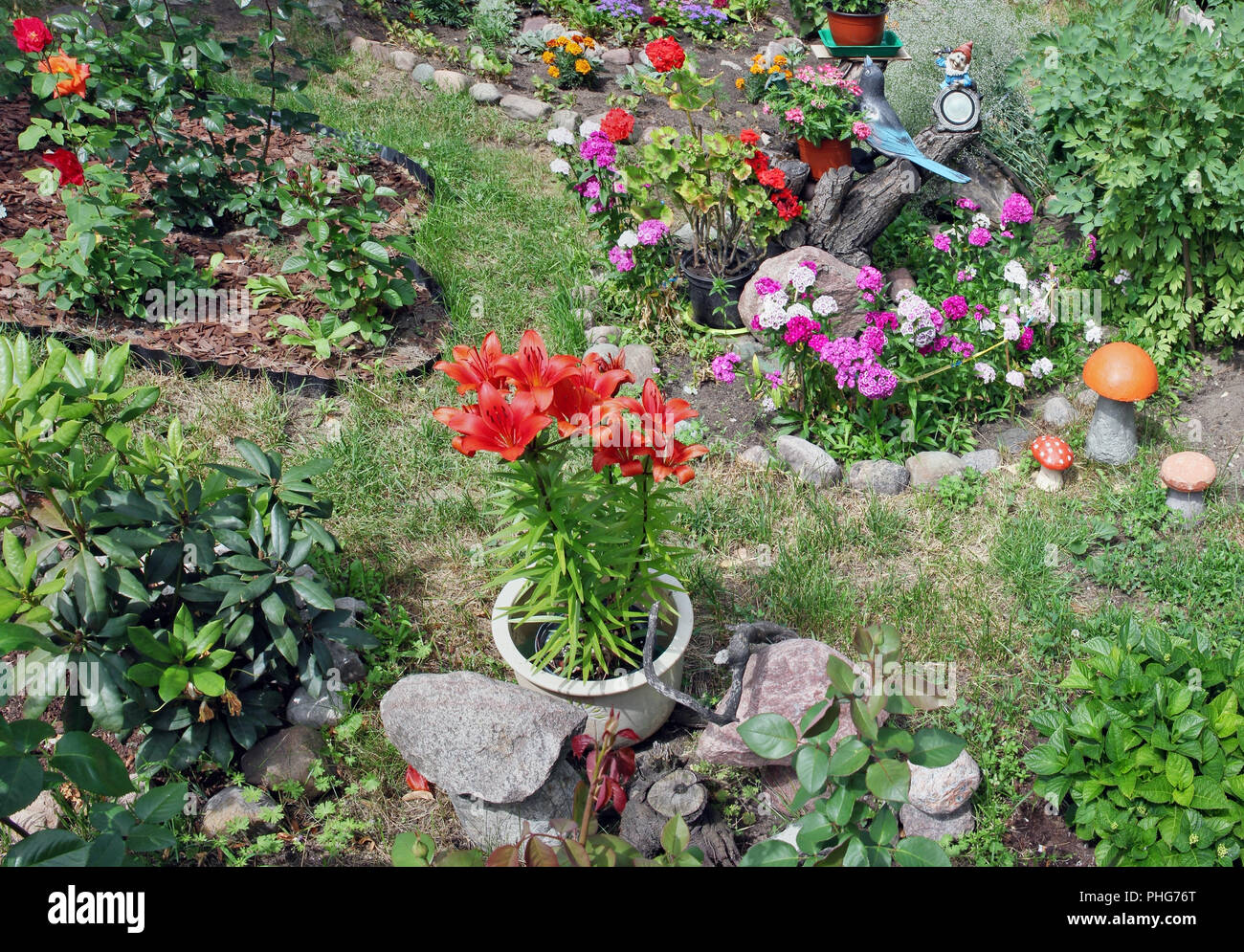 Geranium flower bed hi-res stock photography and images - Alamy