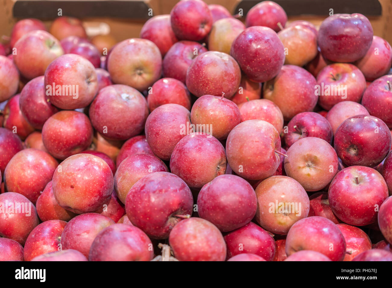 Red apples for backgrounds Stock Photo - Alamy