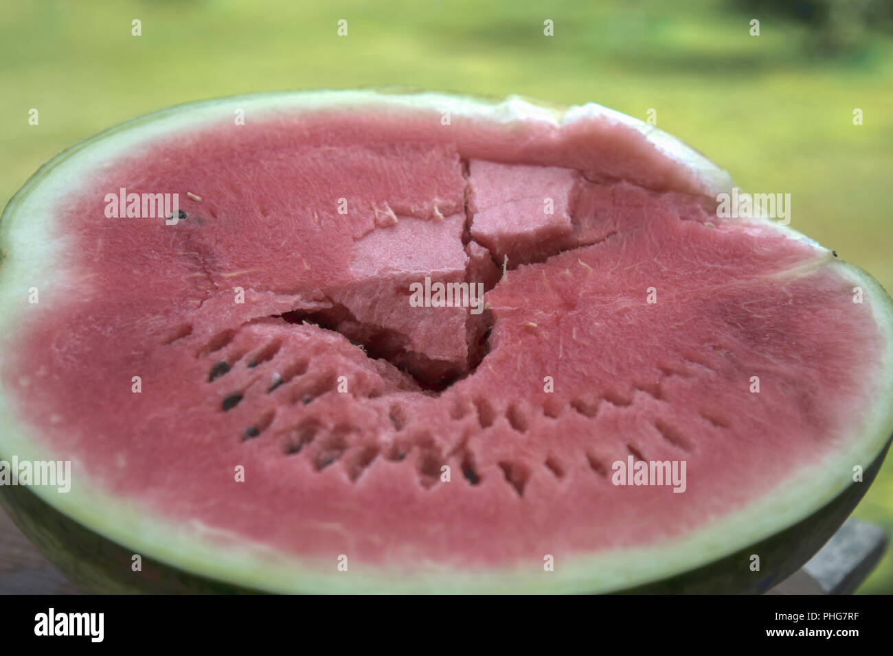 Cut watermelon on a green background. Half a watermelon top view Stock ...
