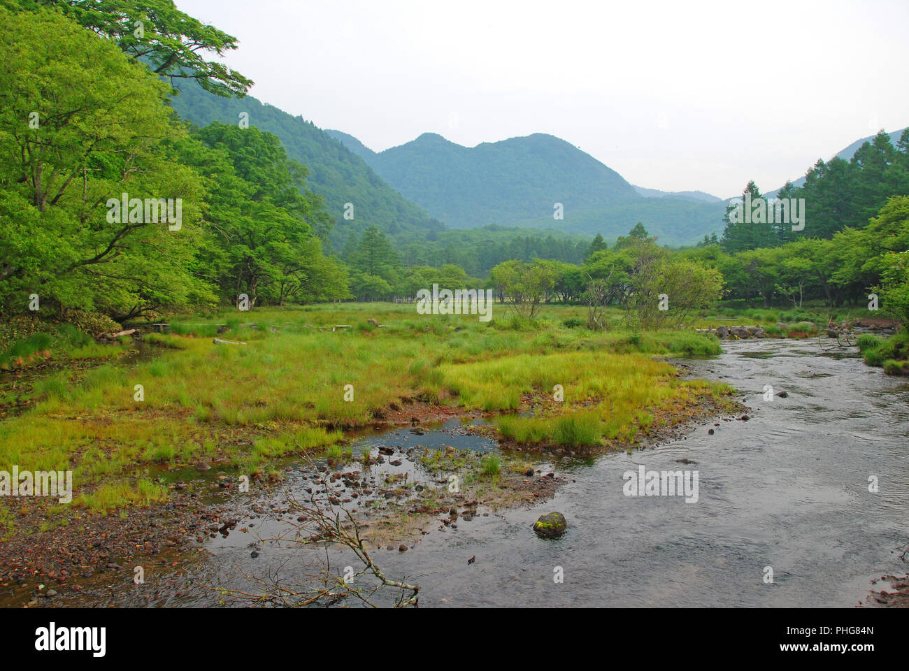 Quiet Stream in the Mountains of Nikko National Park in Japan Stock ...