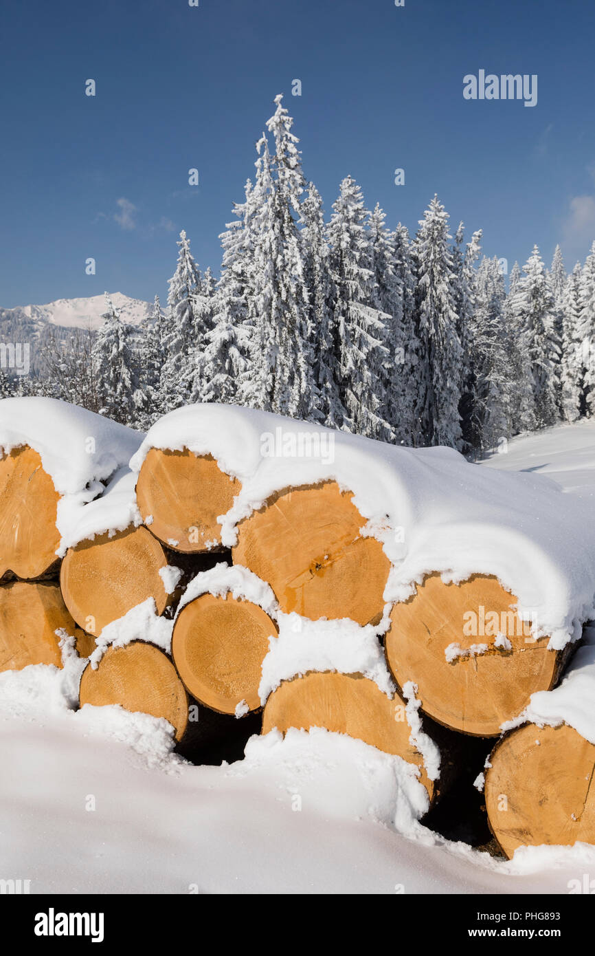 Snow-covered logs on a beautiful winter day in Switzerland Stock Photo ...