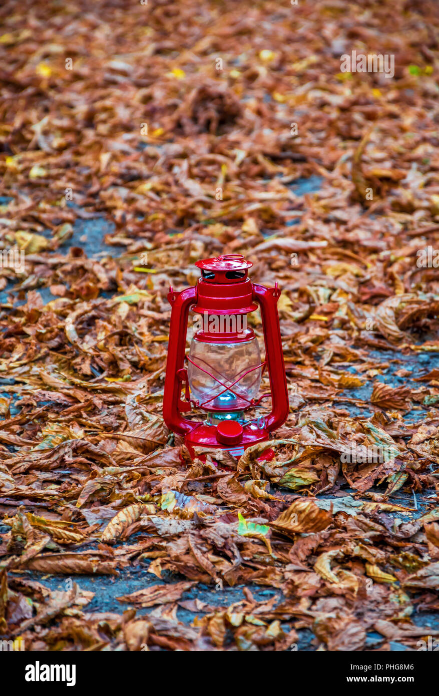 Heat tree leaves hi-res stock photography and images - Alamy