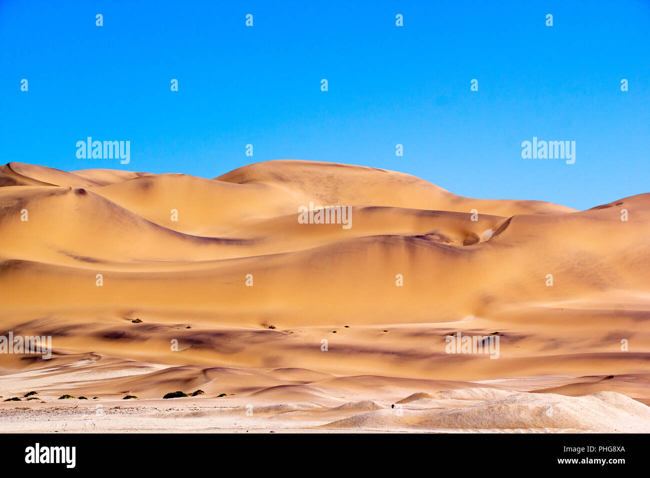 Scorching burnt hi-res stock photography and images - Alamy