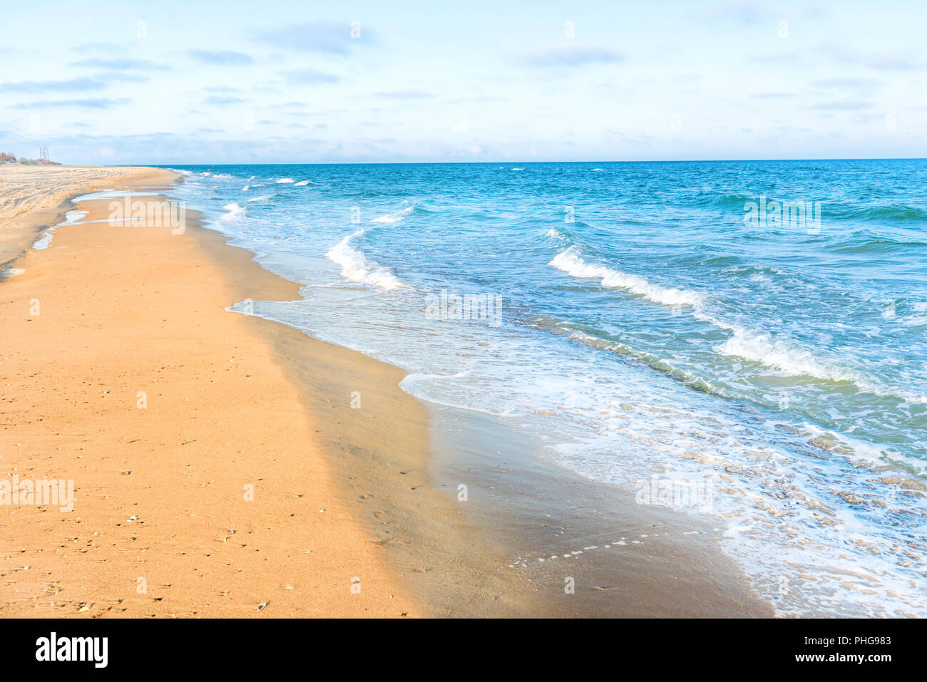 Tropical backgrou hi-res stock photography and images - Alamy