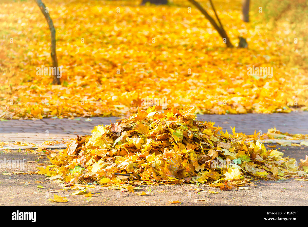 Heap leaves autumn hi-res stock photography and images - Alamy