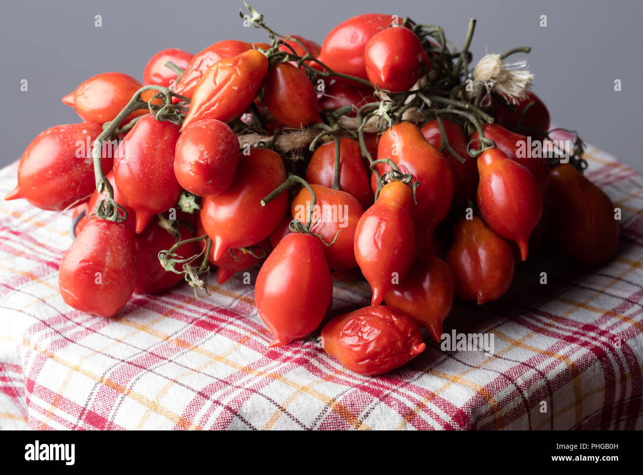 Tomatoes of Vesuvius Stock Photo - Alamy
