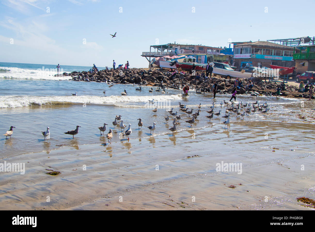 Popotla hi-res stock photography and images - Alamy