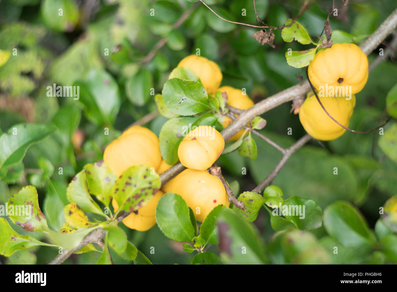 September 1st 2018, meteorological beginning of autumn (fall Stock ...