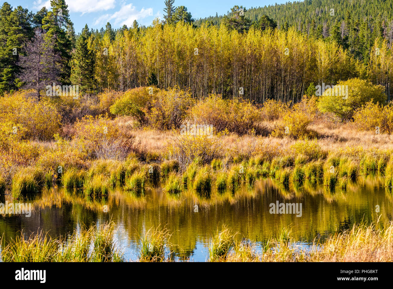 Colorado water lily hi-res stock photography and images - Alamy