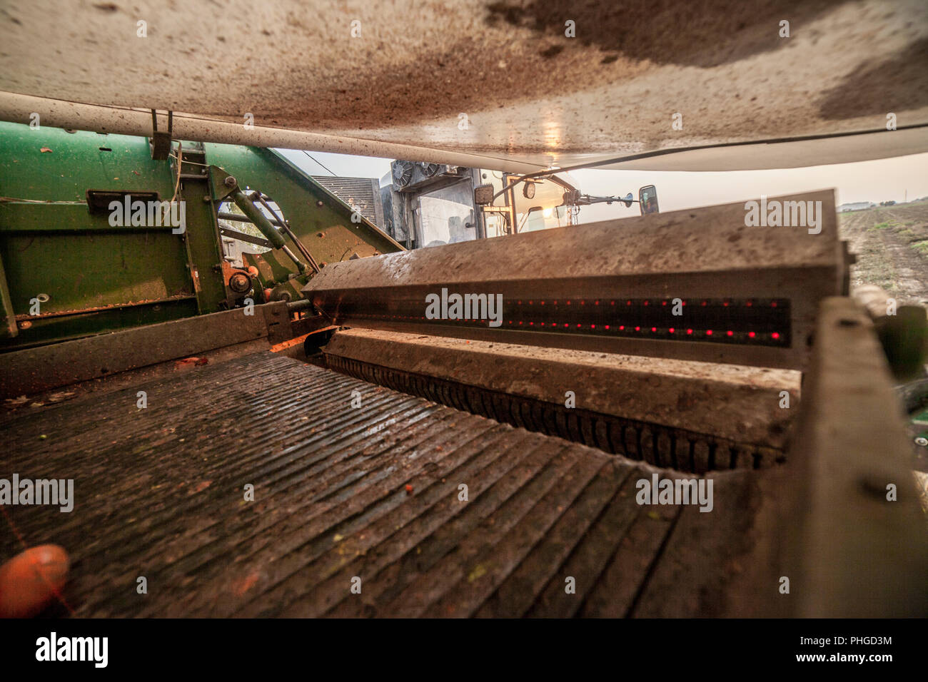 Tomato sorting machine hi-res stock photography and images - Alamy