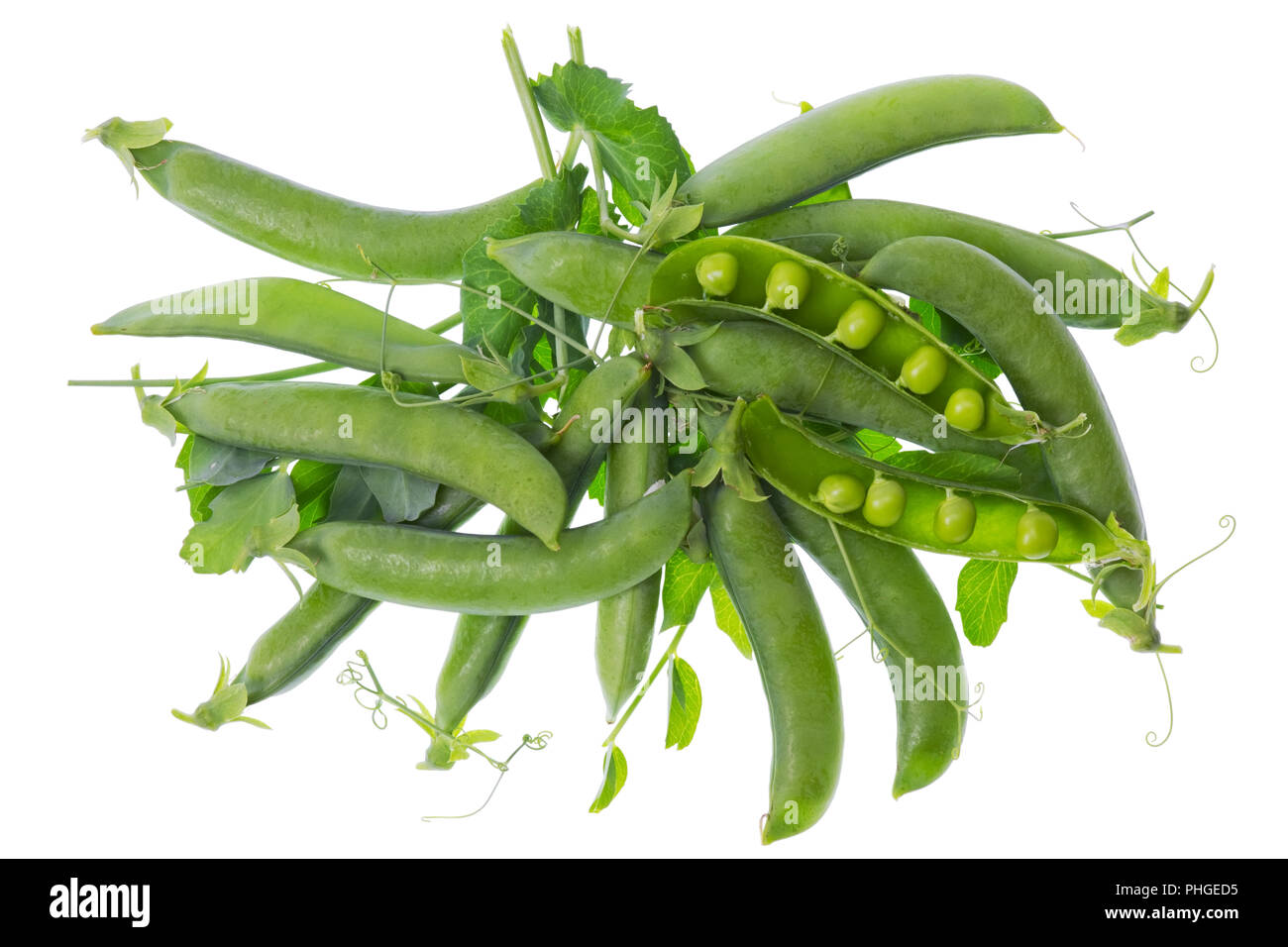 Green pea plant hi-res stock photography and images - Alamy