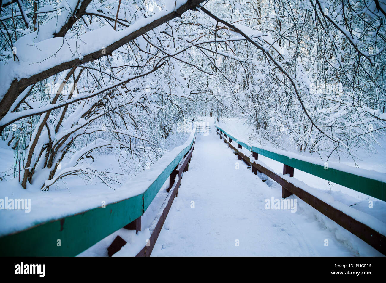 Forrest bridge hi-res stock photography and images - Alamy