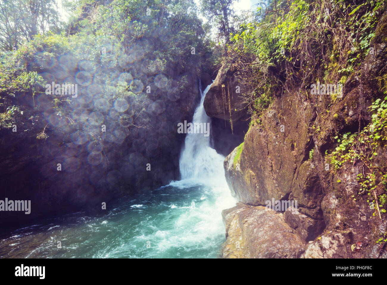 Waterfall in jungle Stock Photo - Alamy