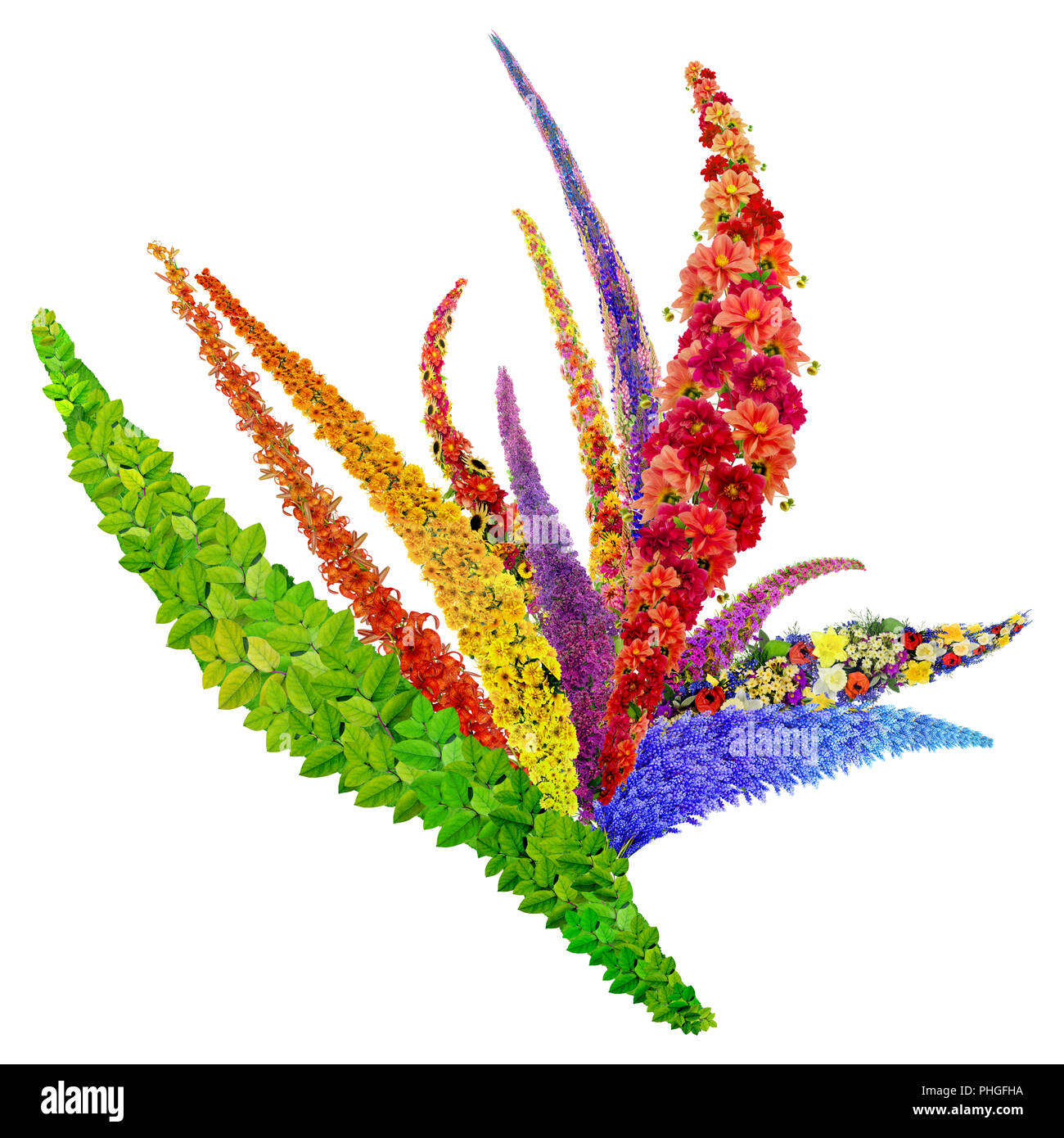 Bird and flower Cut Out Stock Images & Pictures - Alamy