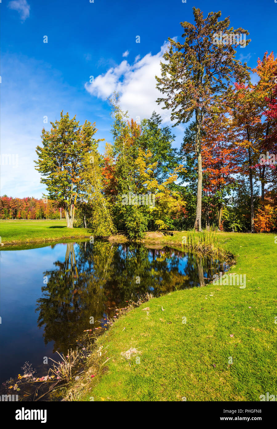 Oval pond hi-res stock photography and images - Alamy
