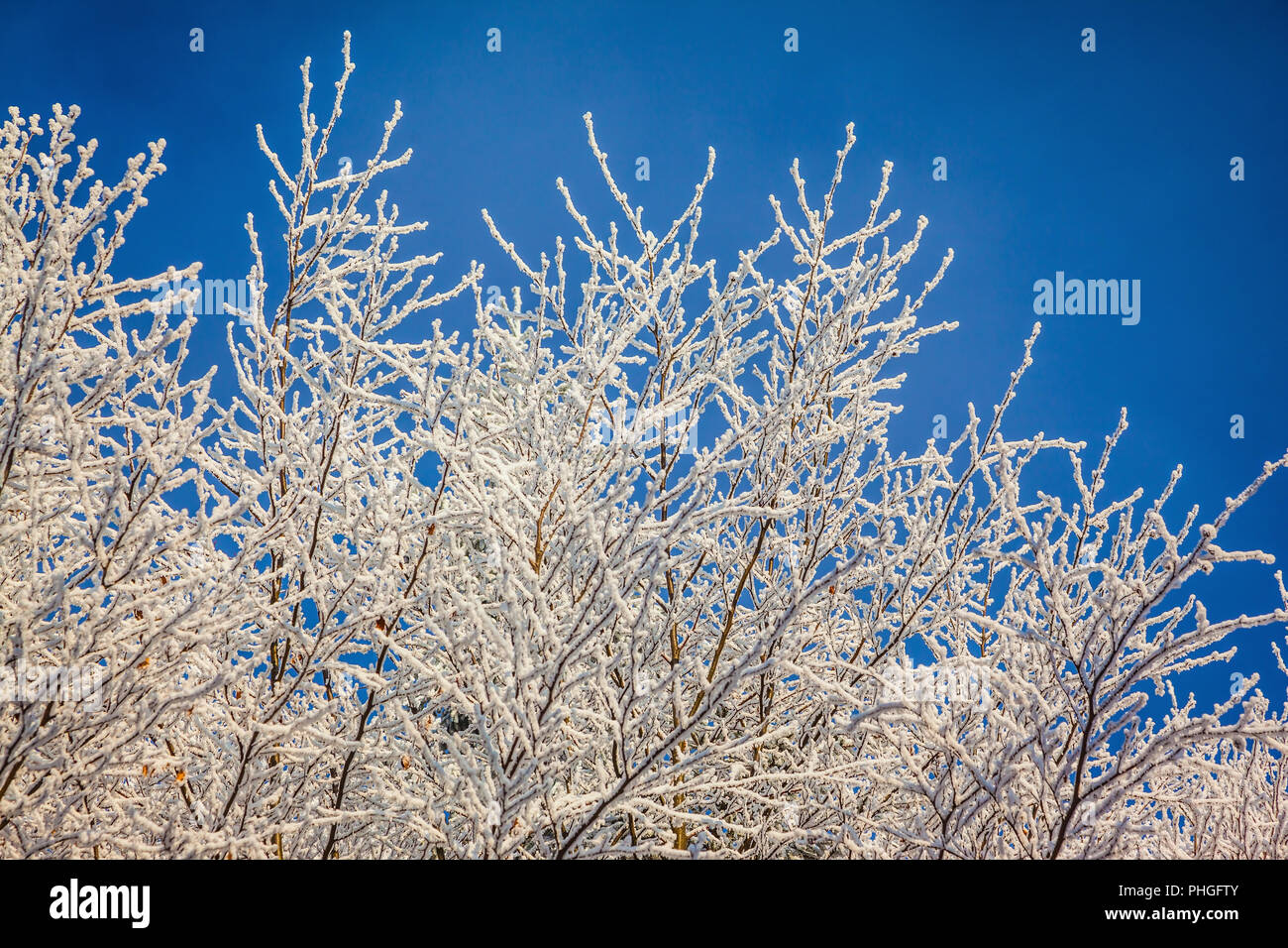 Cold bright day hi-res stock photography and images - Alamy