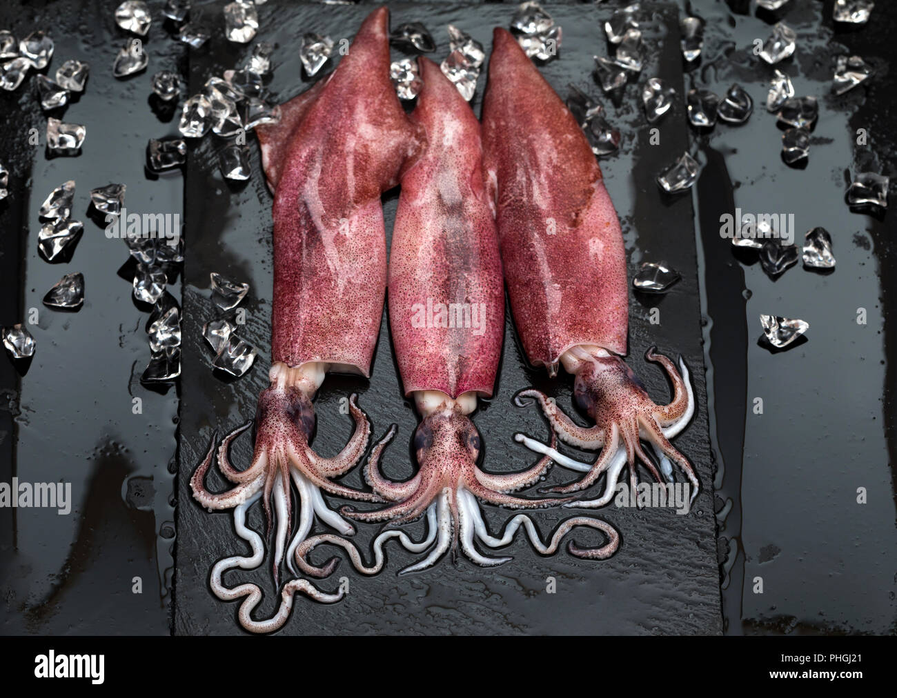 Fresh raw seafood squid with crushed ice on black slate background ...