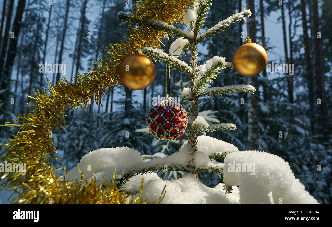 Covered snow christmas tree hi-res stock photography and images - Alamy