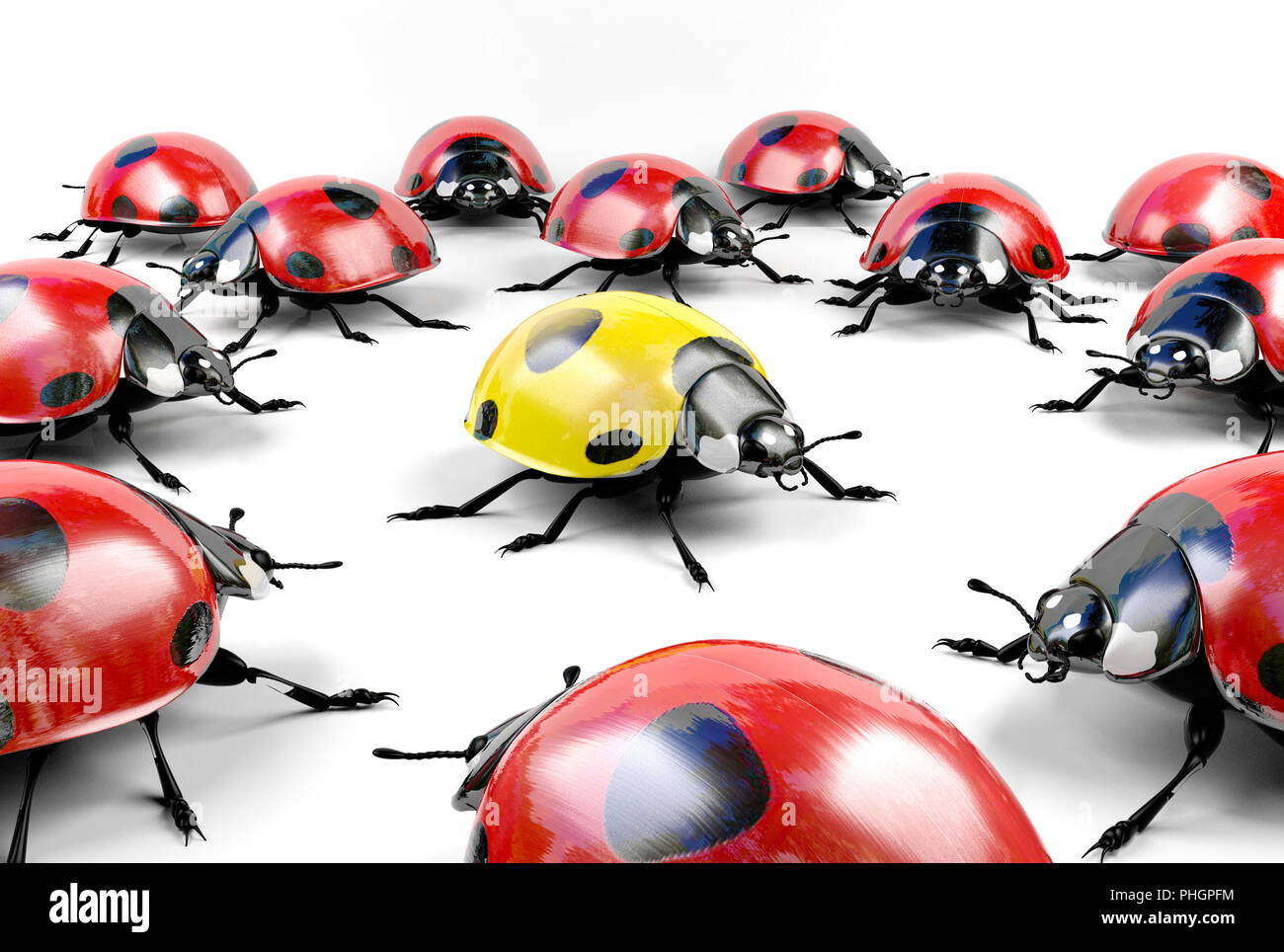The beetles group hi-res stock photography and images - Alamy