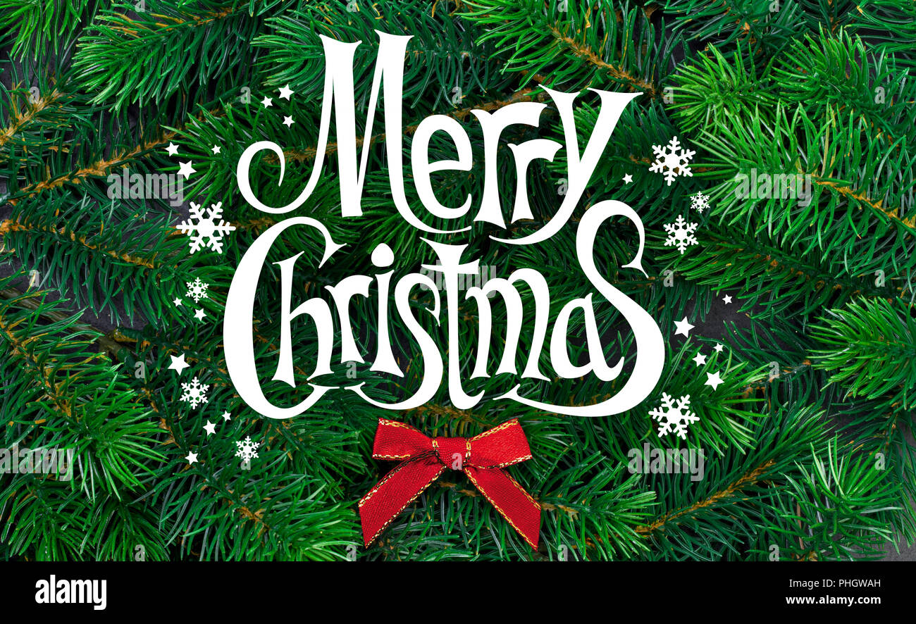 Background a texture furry tree branches for a Christmas card Stock ...