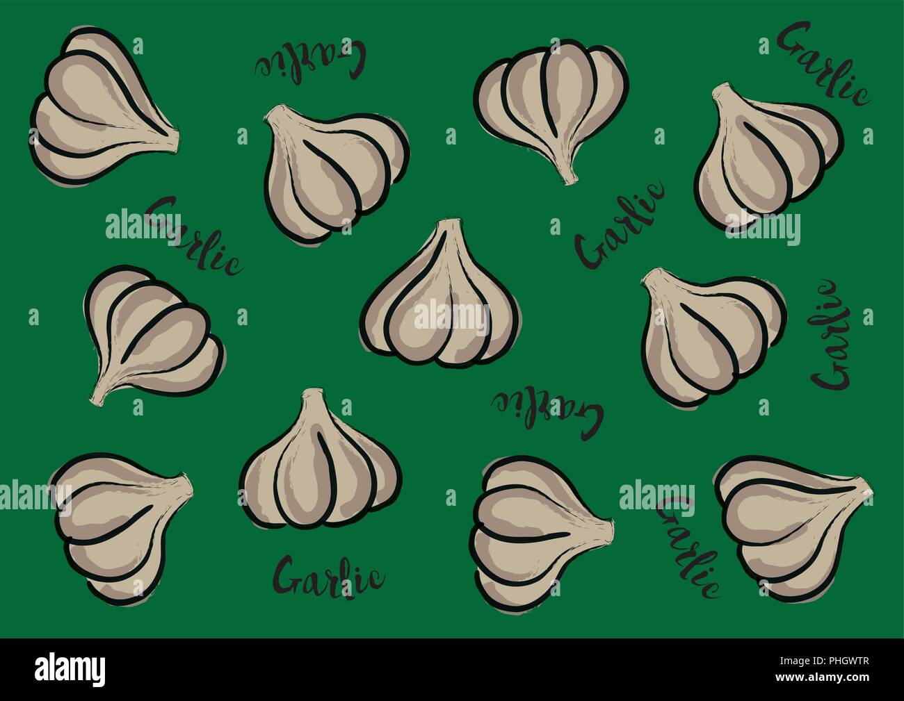 Vector illustration garlic on a green background and calligraphic ...
