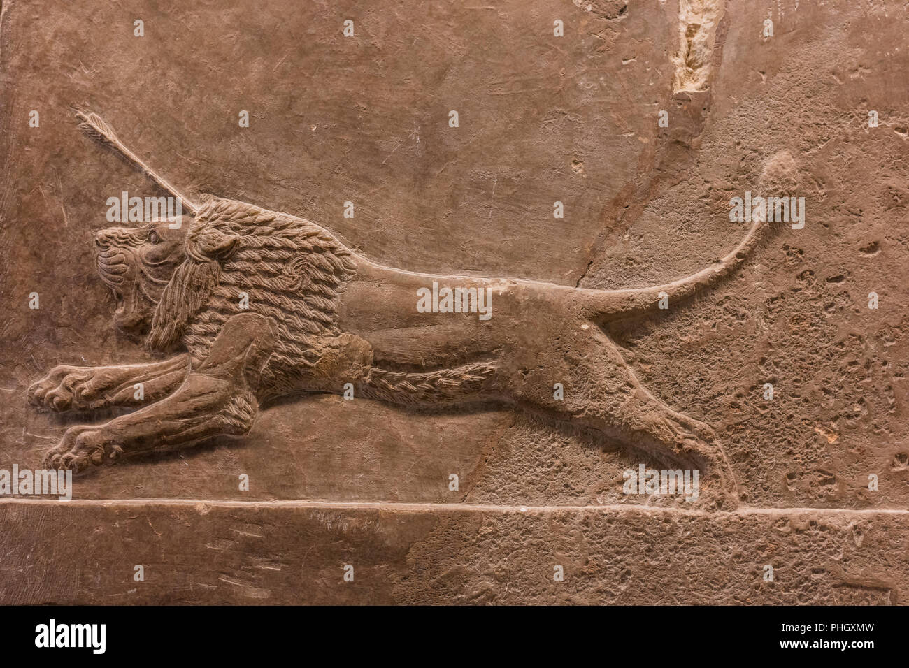 Carved relief of lion hunting (Assyria, 645 BC), British museum, London ...